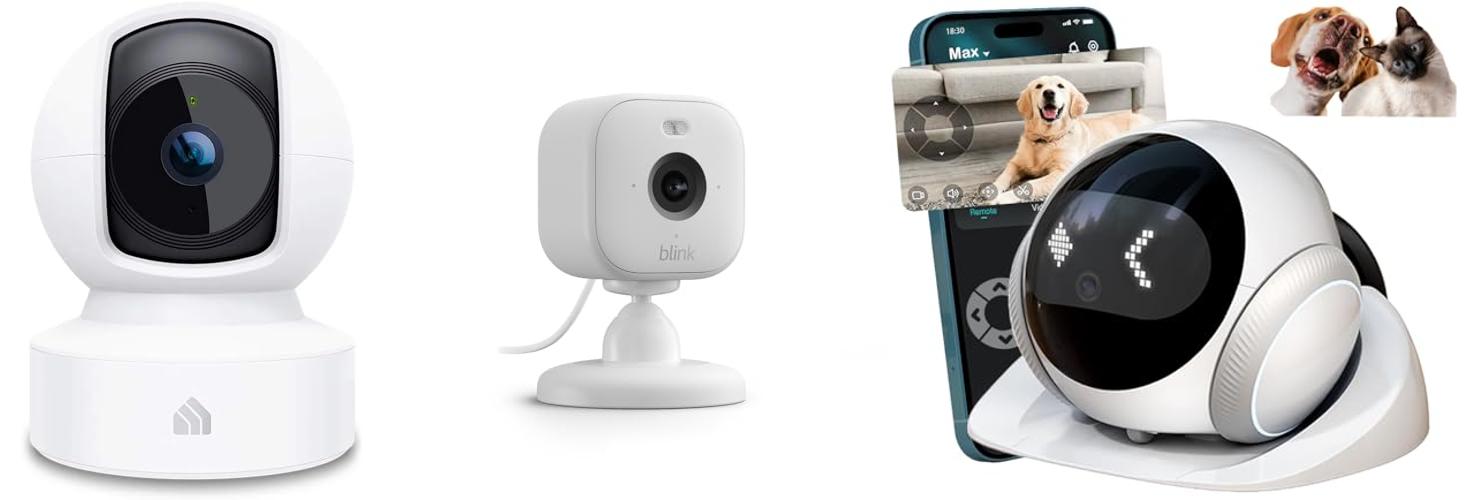 Top 5 Cat Cameras: Your Ultimate Buying Guide