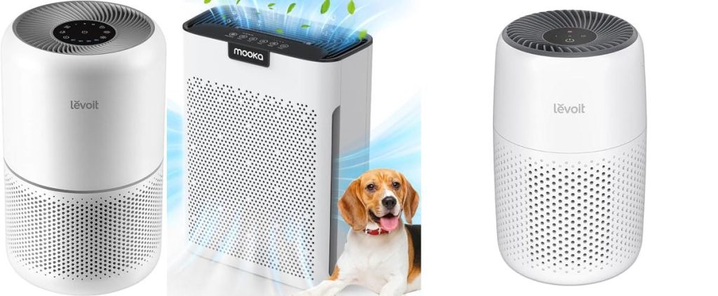 Top 5 Smoke Air Purifiers: Your Essential Buying Guide
